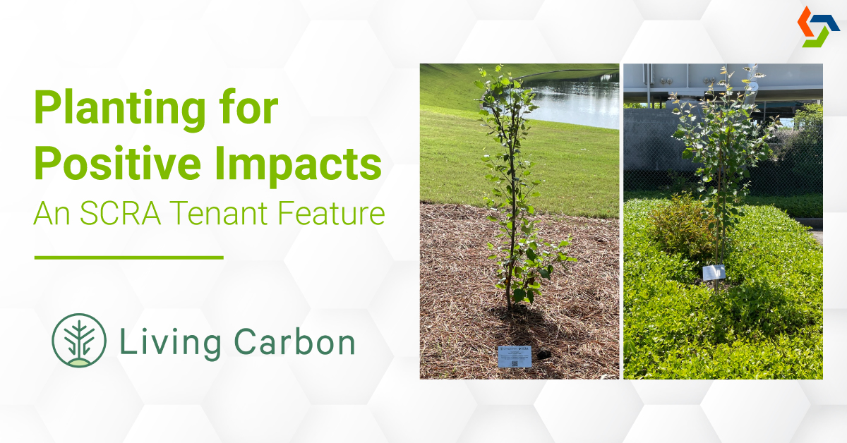 Planting for Positive Impacts - SCRA: South Carolina Research Authority